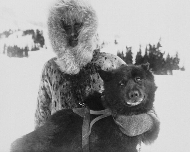 Remembering Balto: Mushers and dogs braved a horrific Alaska winter to ...